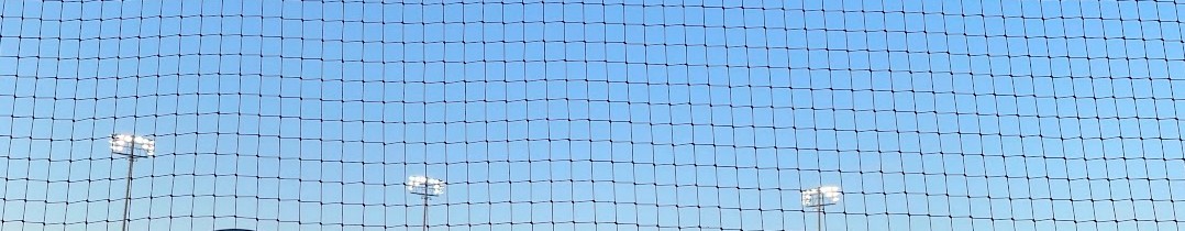 Interim Services – Contributed Line